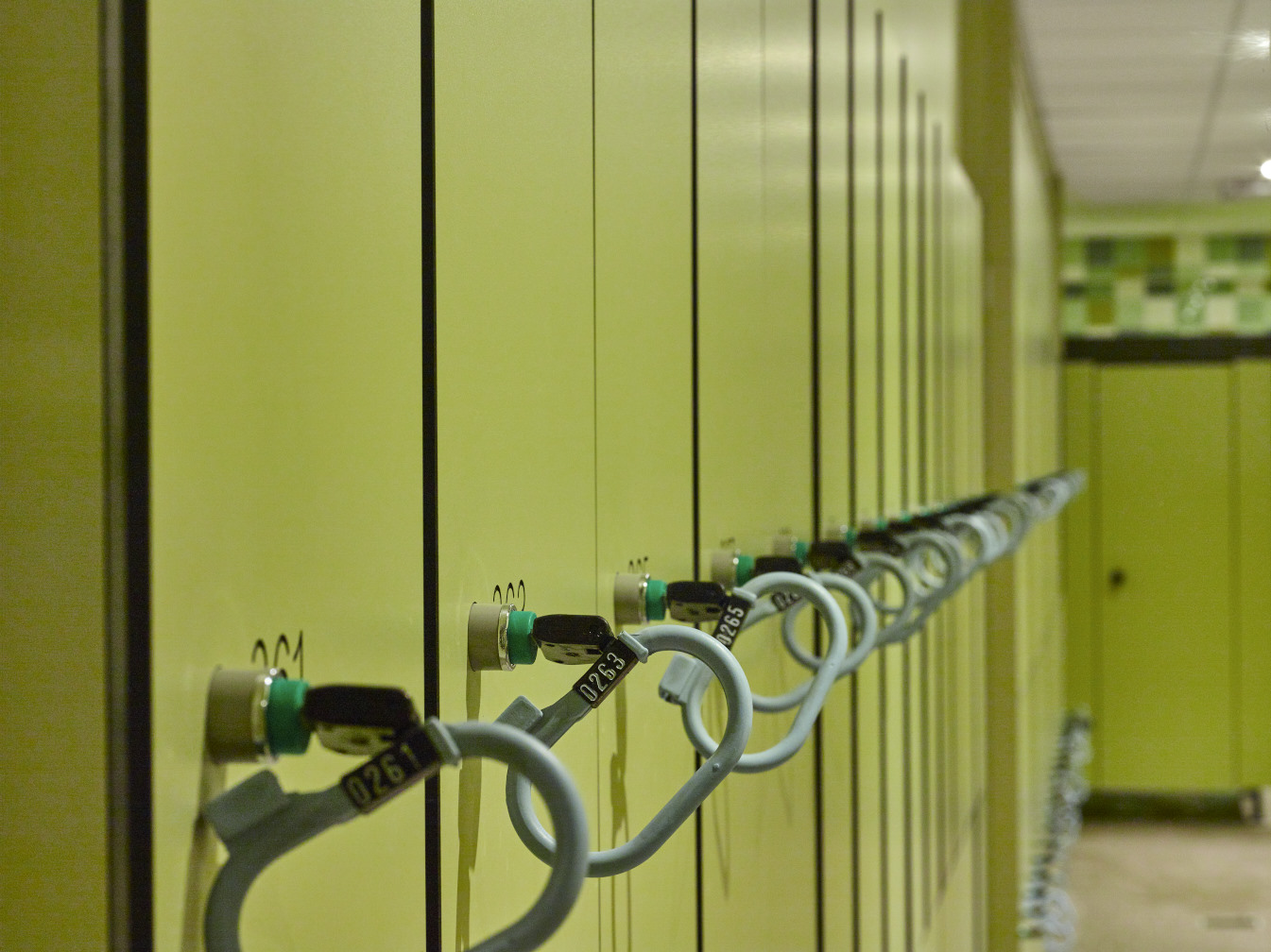 7 – Foris Solutions